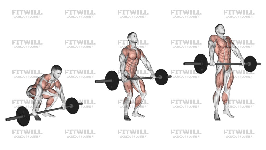 Snatch Pull: Exercise Guide, Video, Techniques, Benefits, How to, Muscles Worked, Tips & Tricks ...