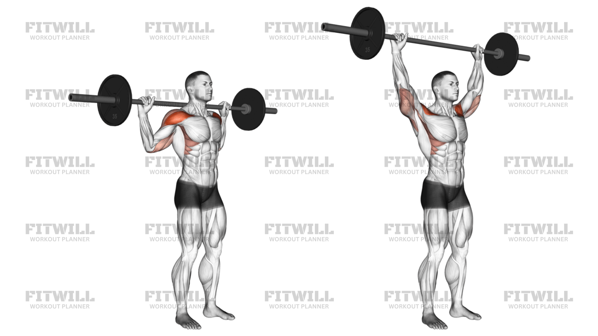 Standing Behind Neck Press: Exercise Guide, Video, Techniques, Benefits ...