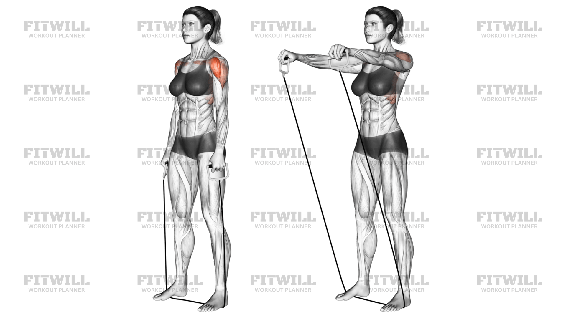 Standing Lateral Raise (with Band): Exercise Guide, Techniques ...
