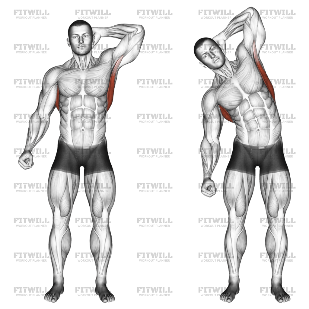 Standing Lateral Stretch: Exercise Guide, Video, Techniques, Benefits, How to, Muscles Worked ...