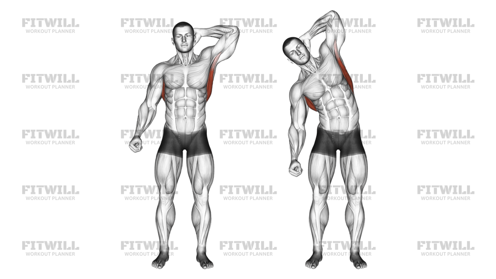 Standing Lateral Stretch: Exercise Guide, Video, Techniques, Benefits, How to, Muscles Worked ...