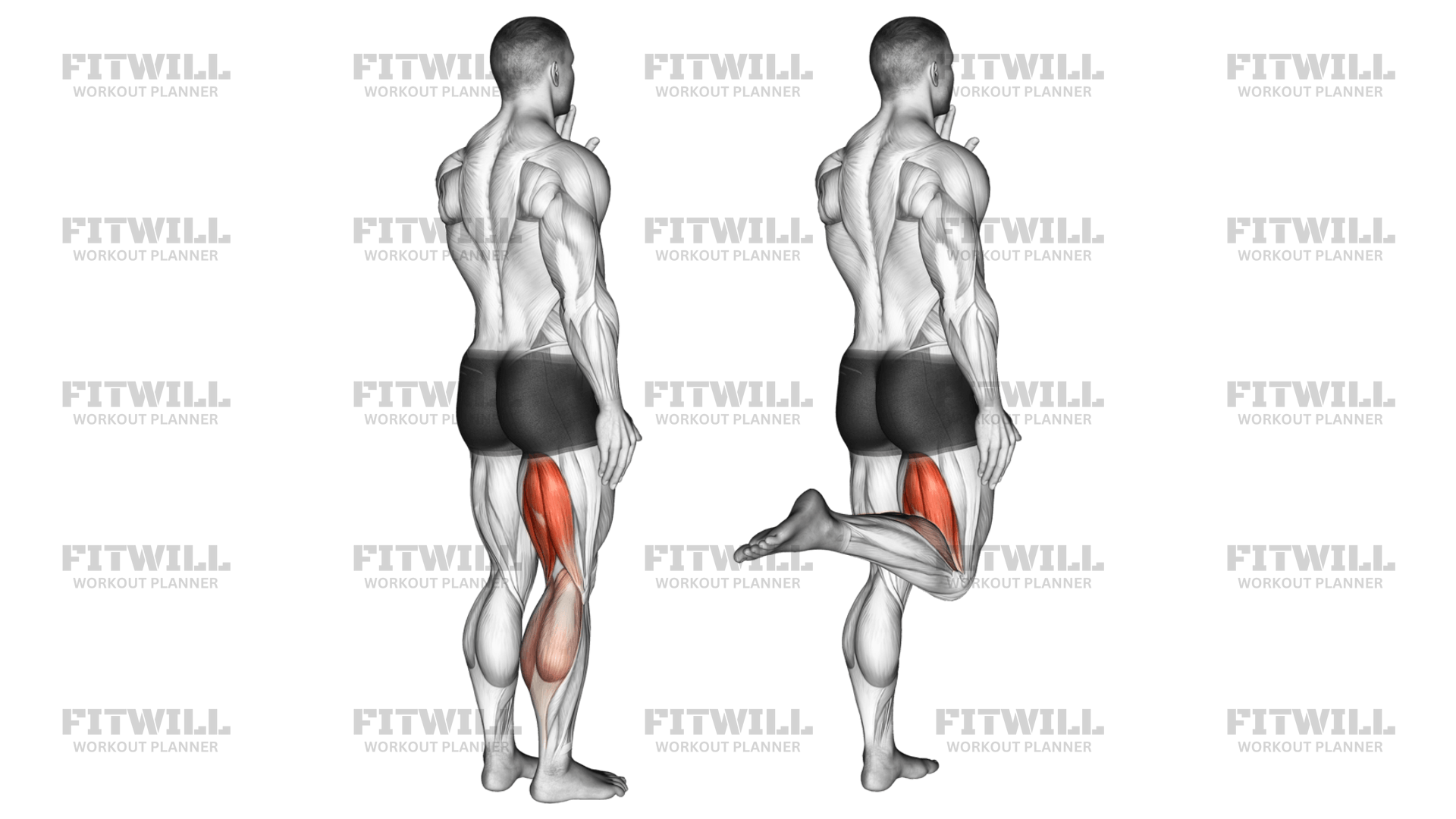 Standing Single Leg Curl: Exercise Guide, Video, Techniques, Benefits ...