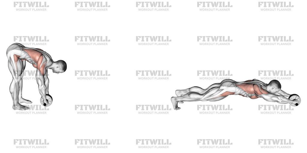 Standing Wheel Rollout: Exercise Guide, Video, Techniques, Benefits ...