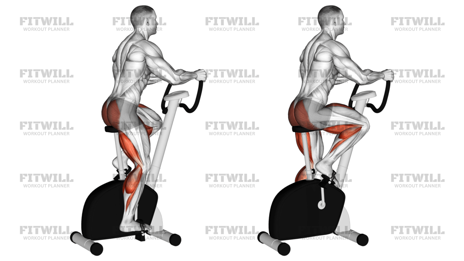 Stationary Bike Walk: Exercise Guide, Video, Techniques, Benefits, How ...