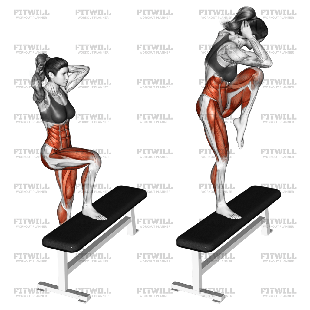 Step-up Opposite Elbow To Knee Twist: Exercise Guide, Techniques, Benefits, How to, Muscles ...