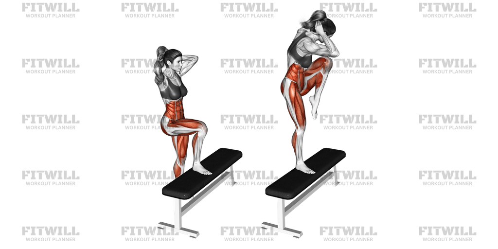 Step-up Opposite Elbow To Knee Twist: Exercise Guide, Techniques ...