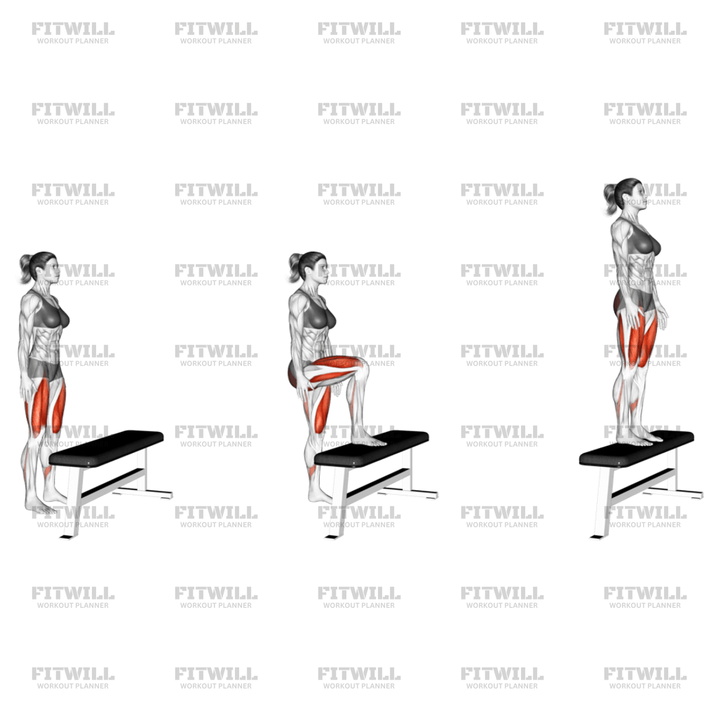 Step-up: Guide, Techniques, Benefits, How to, Muscles Worked, Tips & Tricks | Fitwill