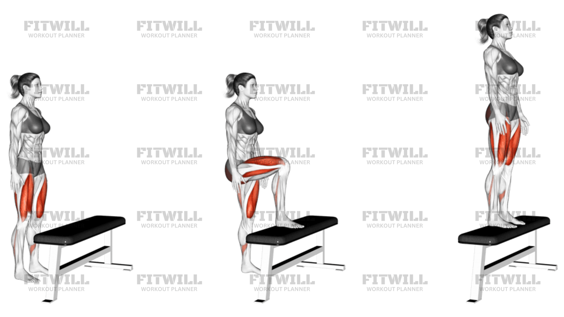 Step-up: Exercise Guide, Video, Techniques, Benefits, How to, Muscles Worked, Tips & Tricks ...