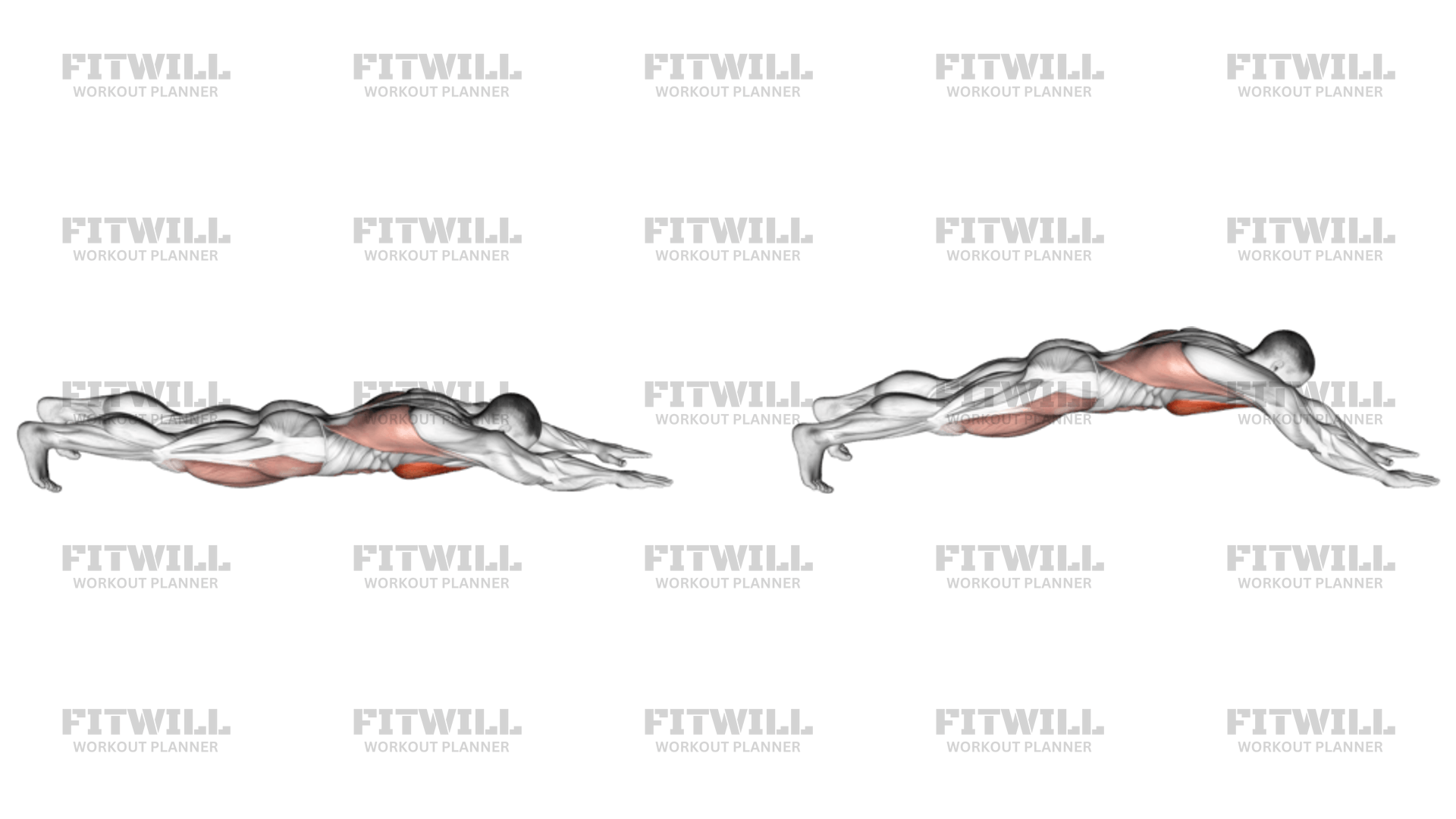 Superman Push-up: Exercise Guide, Video, Techniques, Benefits, How to, Muscles Worked, Tips ...