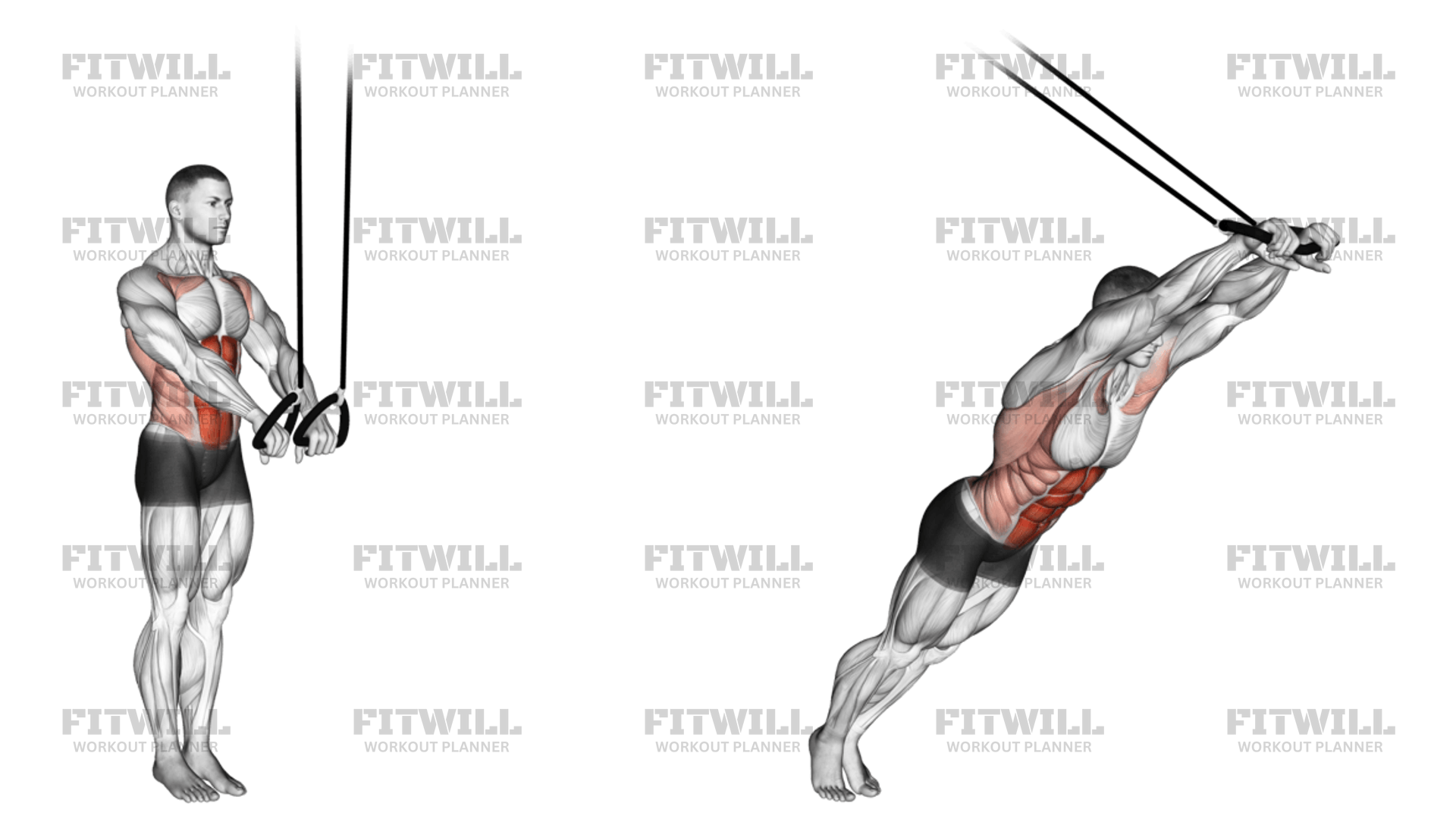 Suspended Abdominal Fallout: Exercise Guide, Video, Techniques ...