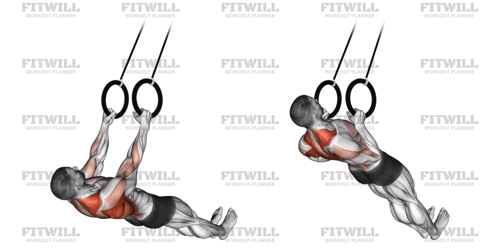 Suspended Row: Exercise Guide, Video, Techniques, Benefits, How to ...