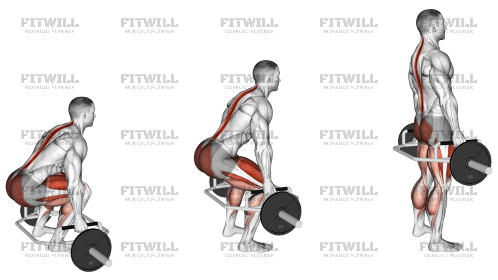 Peso Muerto Con Barra Hexagonal: Guía de Ejercicios, Video, Técnicas ...