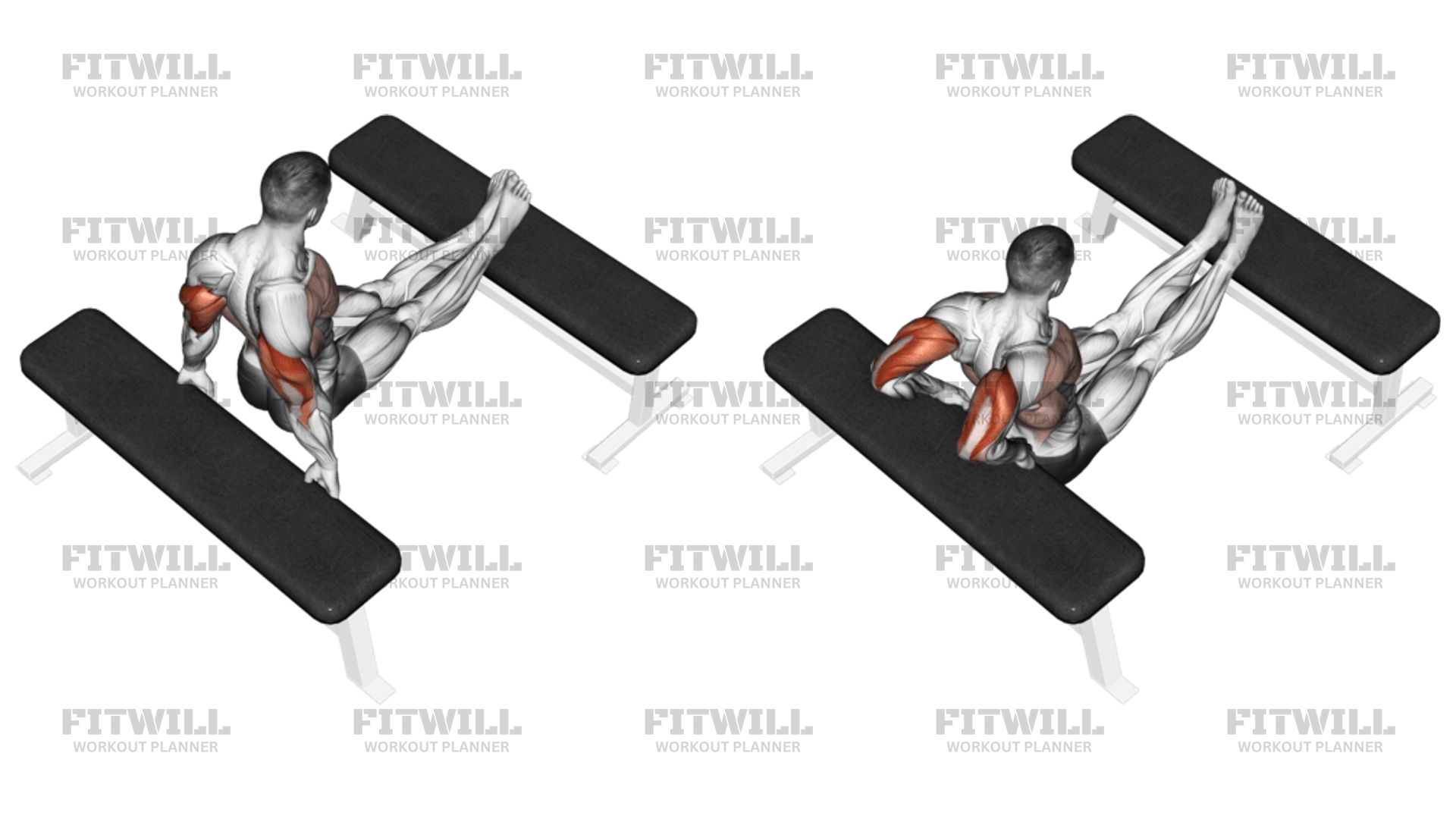 Triceps Dip (bench Leg): Exercise Guide, Video, Techniques, Benefits, How to, Muscles Worked ...