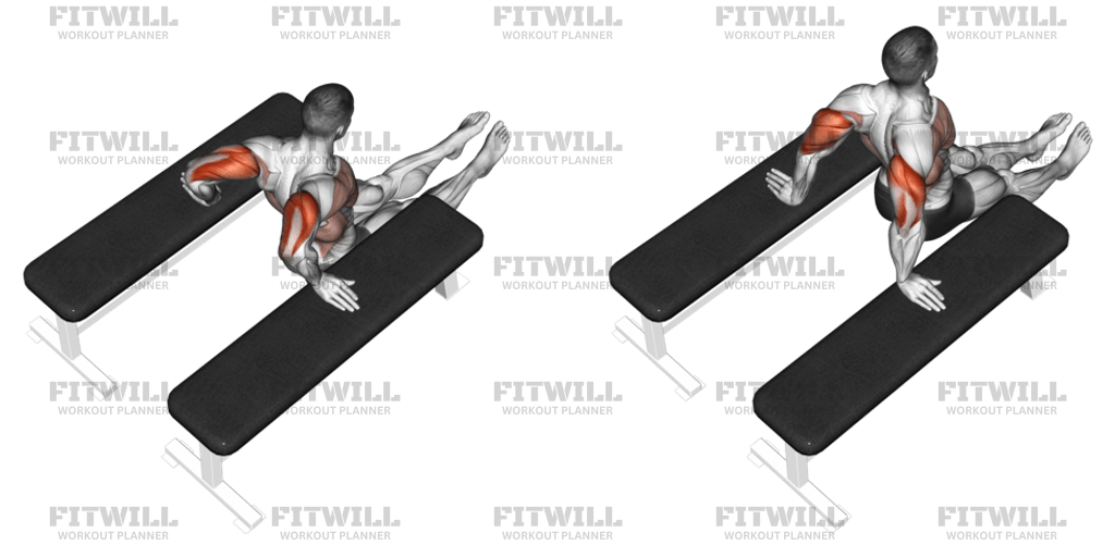 Triceps Dip (between Benches): Exercise Guide, Techniques, Benefits ...