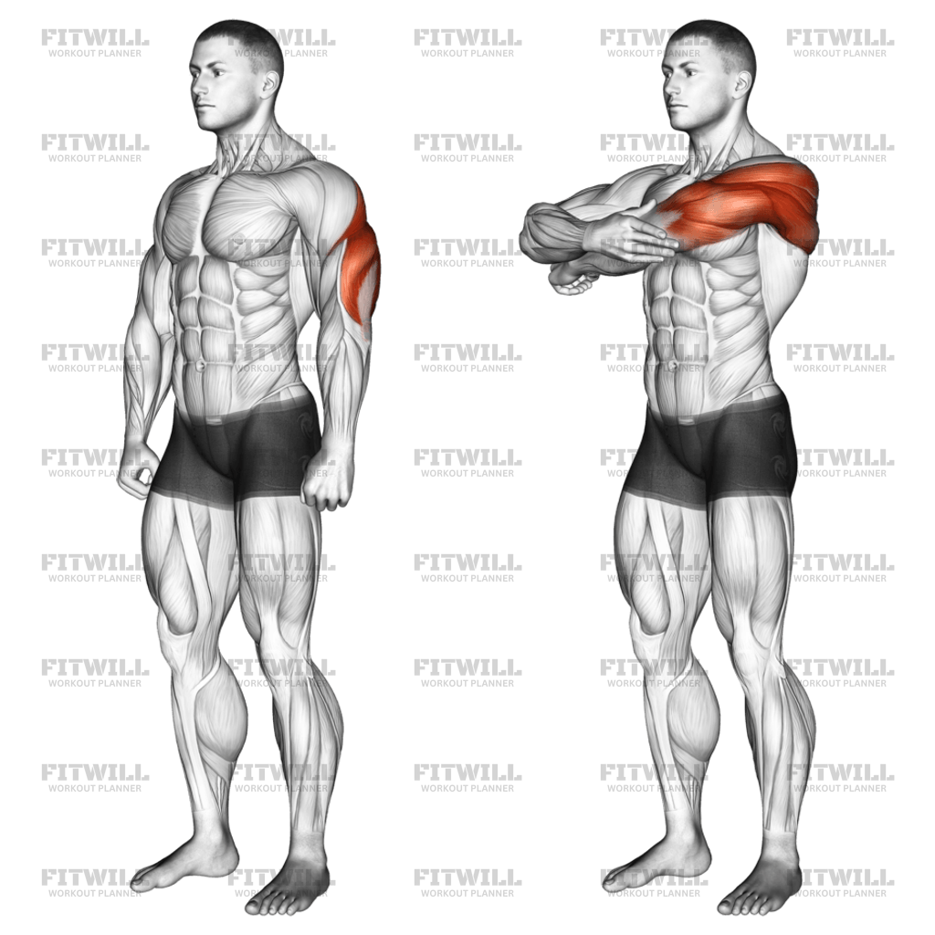 Alongamento De Tríceps: Guia de Exercício, Técnicas, Benefícios, Como ...