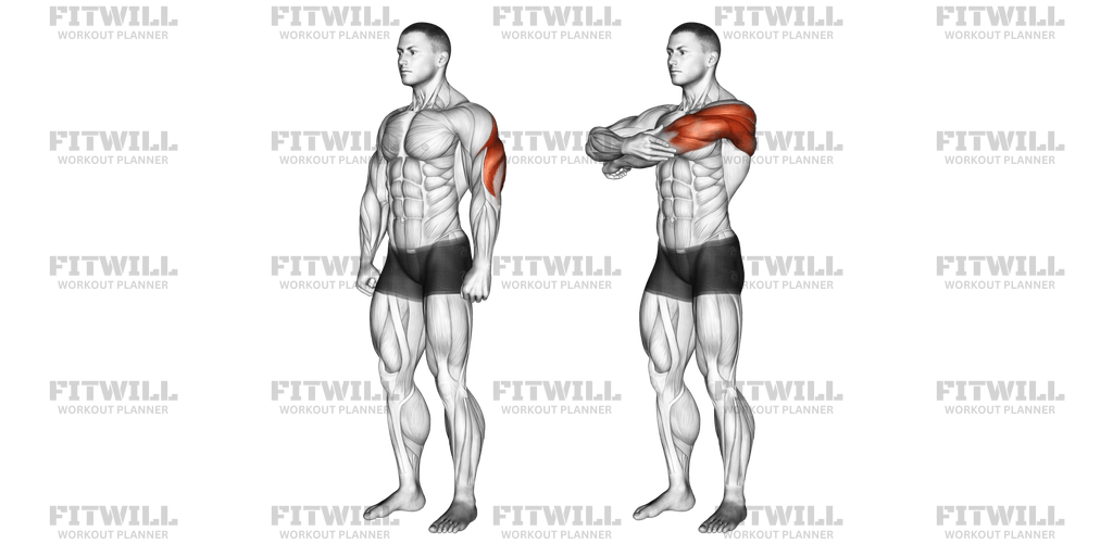 Triceps Stretch: Exercise Guide, Techniques, Benefits, How to, Muscles ...