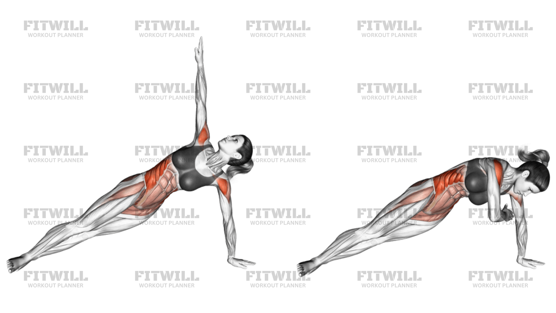 Twist Side Bridge: Exercise Guide, Techniques, Benefits, How to ...