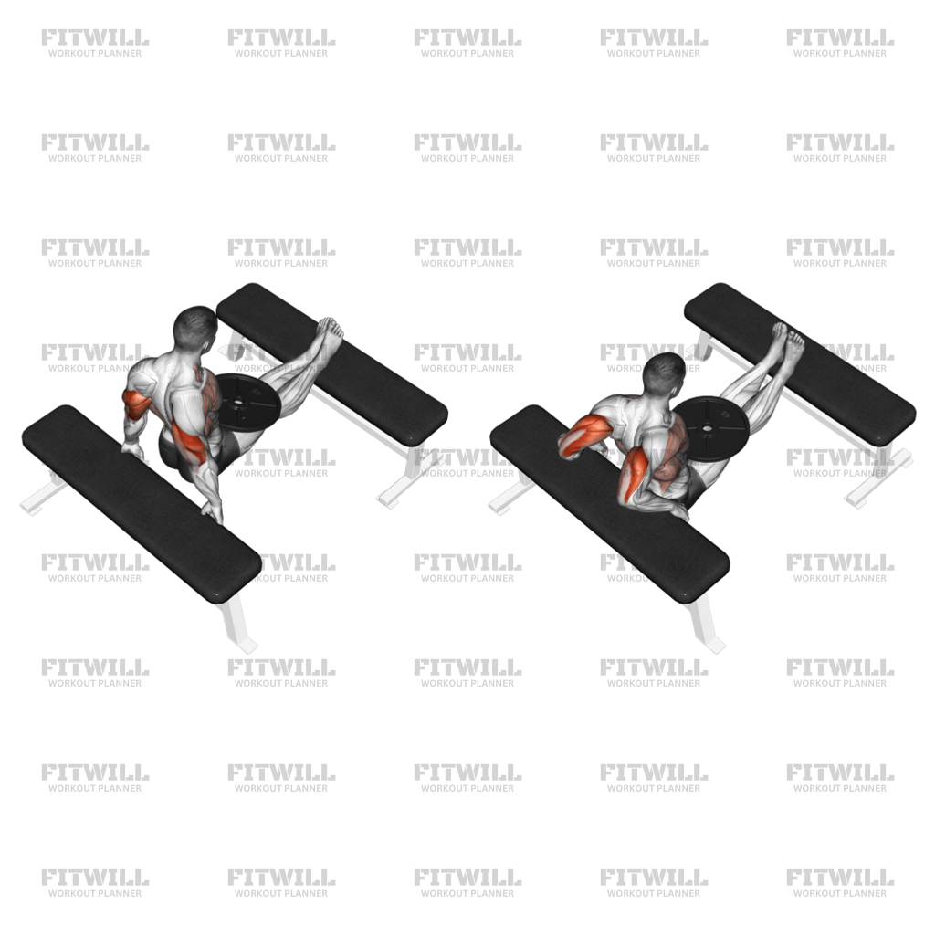 Weighted Bench Dip: Exercise Guide, Techniques, Benefits, How to ...