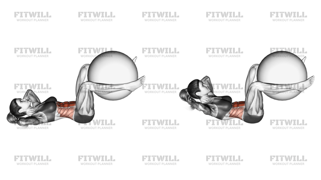 Weighted Crunch (bent Knee): Exercise Guide, Techniques, Benefits, How ...