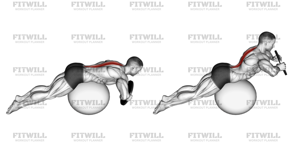 Weighted Hyperextension (on Stability Ball): Exercise Guide, Video ...