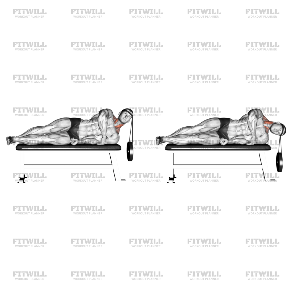 Weighted Lying Side Lifting Head (with Head Harness): Exercise Guide ...