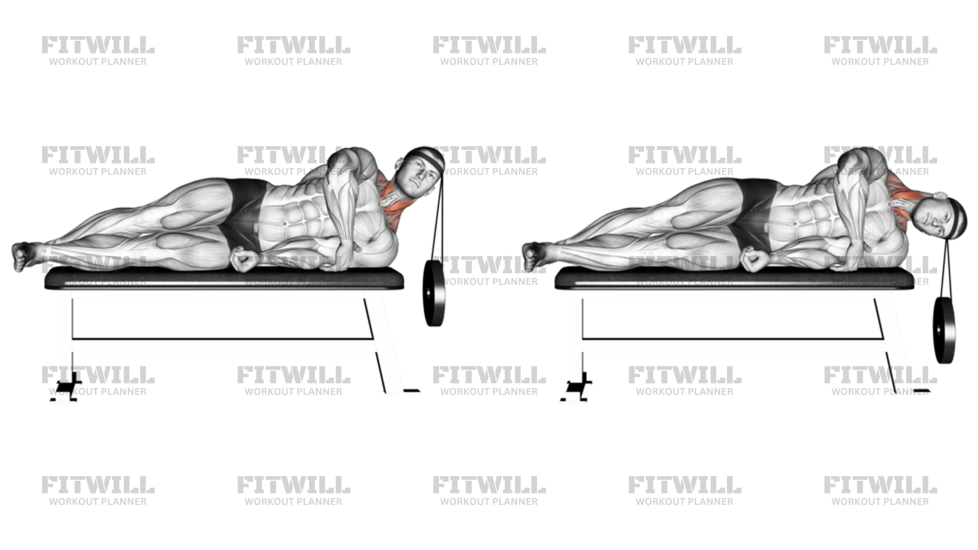 Weighted Lying Side Lifting Head (with Head Harness): Exercise Guide ...