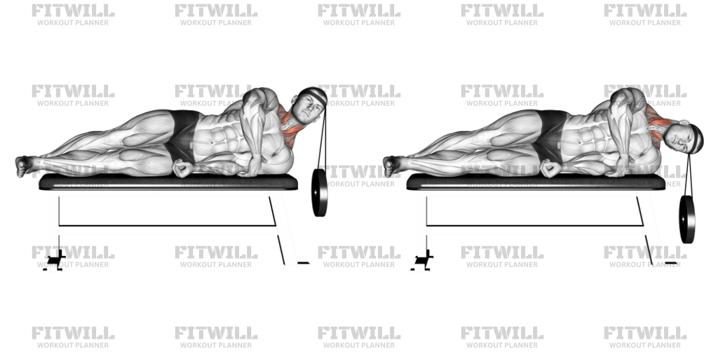 Weighted Lying Side Lifting Head With Head Harness: Exercise Guide ...