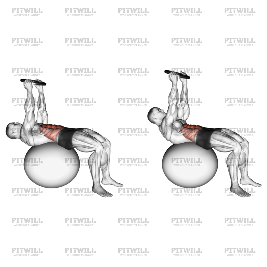 Weighted Overhead Crunch (on Stability Ball): Exercise Guide, Video ...