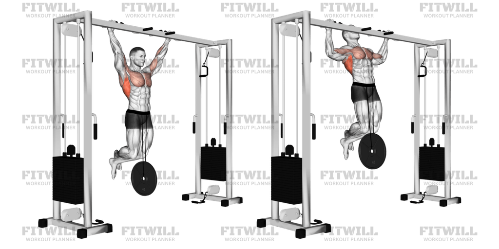 Weighted Pull-Up: Exercise Guide, Video, Techniques, Benefits, How to ...