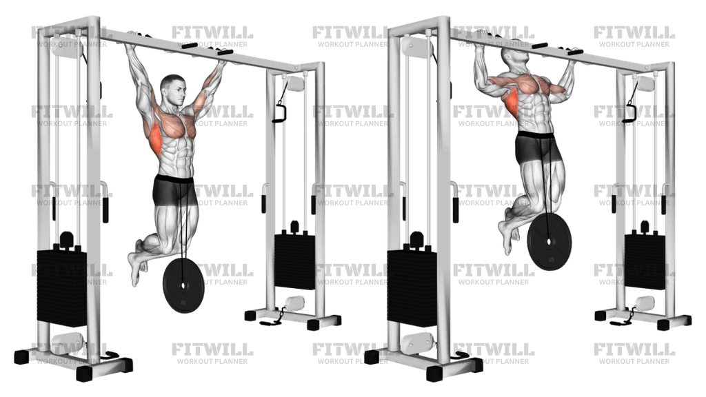 Weighted Pull-Up: Exercise Guide, Video, Techniques, Benefits, How to ...
