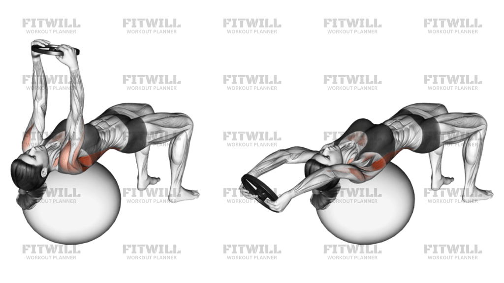Weighted Pullover On Stability Ball: Exercise Guide, Techniques ...