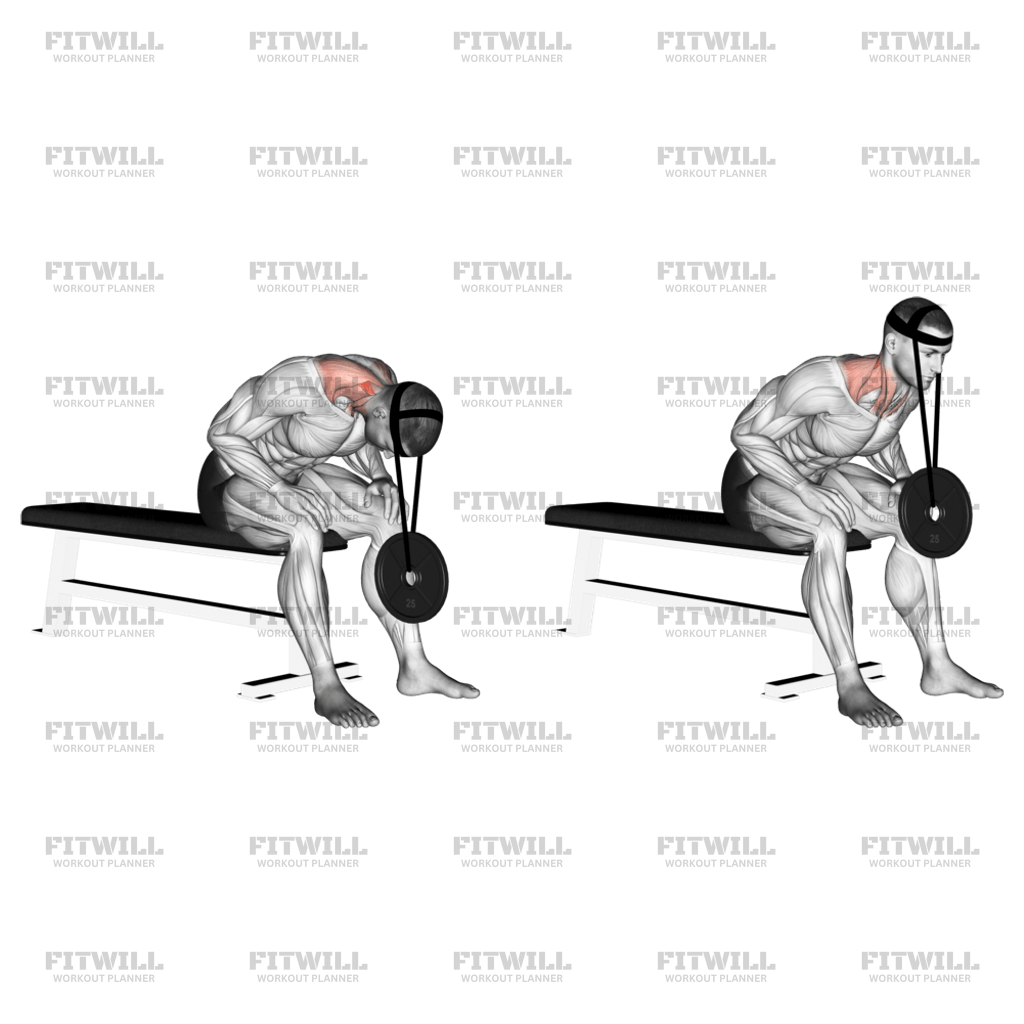Weighted Seated Neck Extension (with Head Harness): Exercise Guide ...