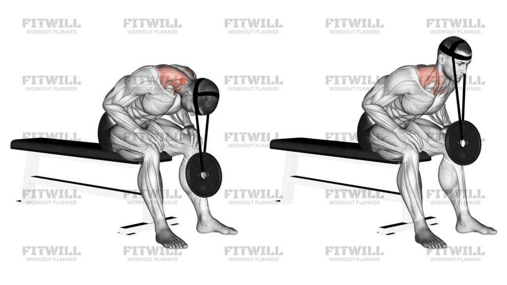 Weighted Seated Neck Extension (with Head Harness): Exercise Guide ...