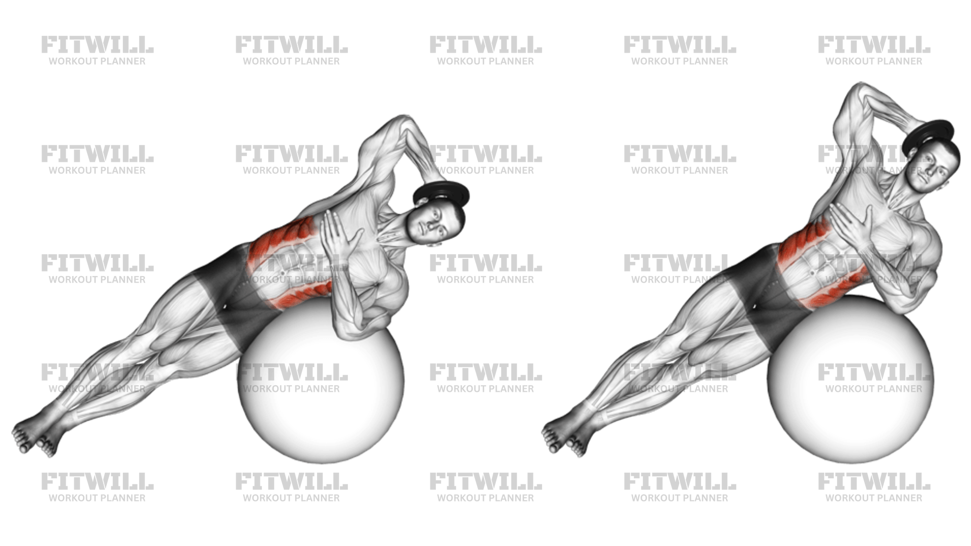 Weighted Side Bend (on Stability Ball): Exercise Guide, Video ...