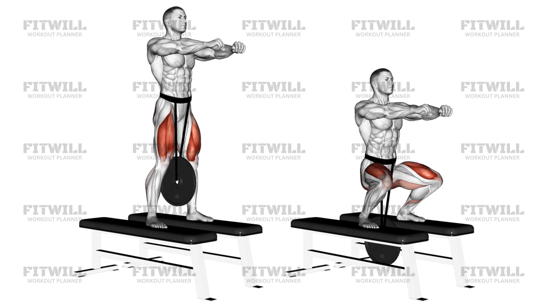 Weighted Squat: Exercise Guide, Techniques, Benefits, How to, Muscles ...