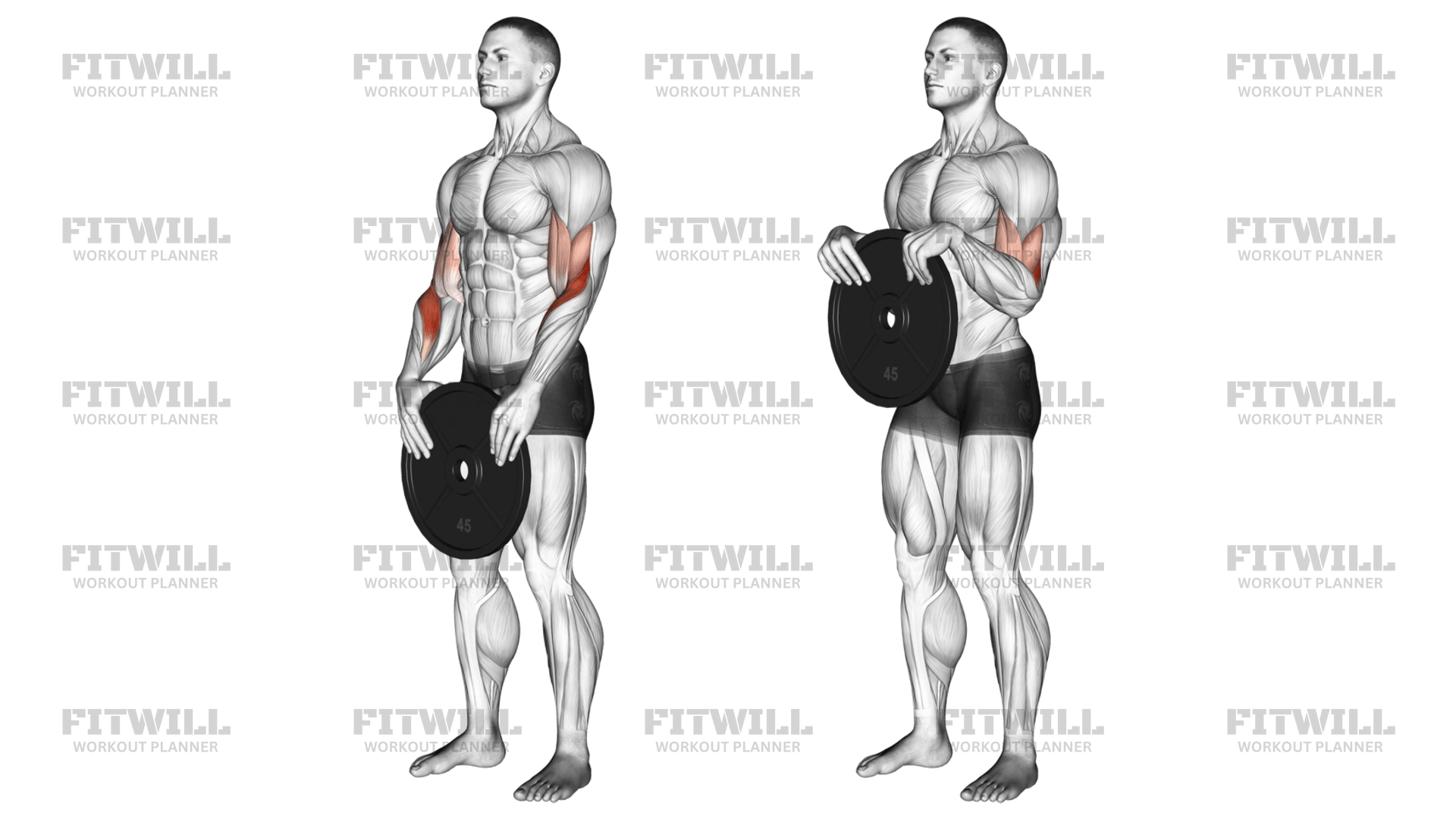 Weighted Standing Curl: Exercise Guide, Video, Techniques, Benefits ...