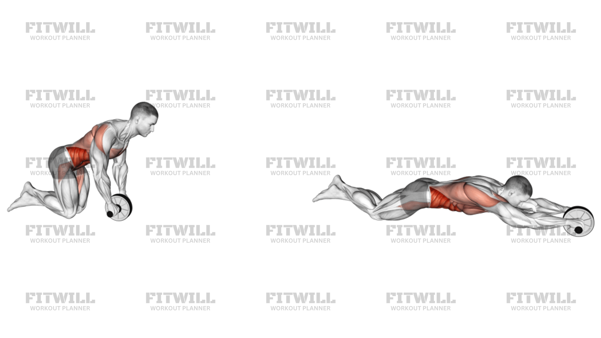 Wheel Rollout: Exercise Guide, Video, Techniques, Benefits, How to ...