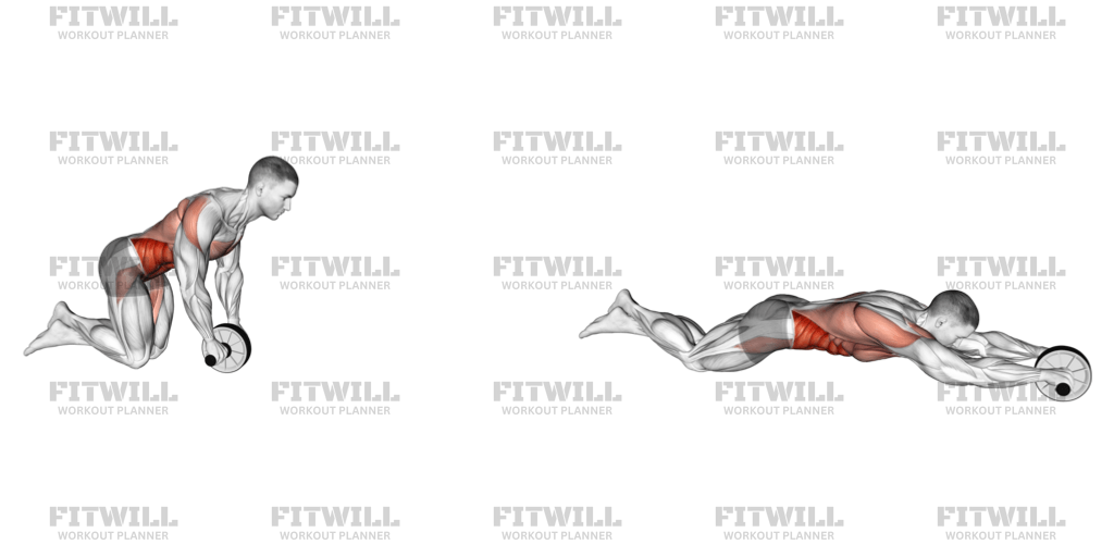 Wheel Rollout: Exercise Guide, Video, Techniques, Benefits, How to ...