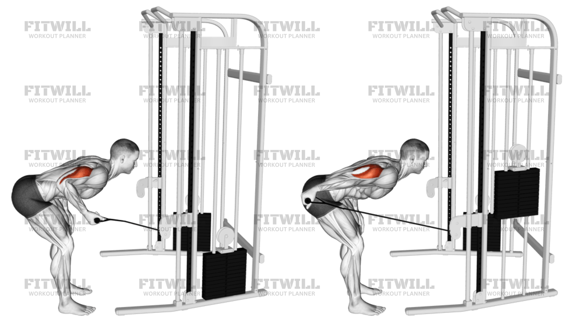 Cable Kickback: Exercise Guide, Video, Techniques, Benefits, How to ...