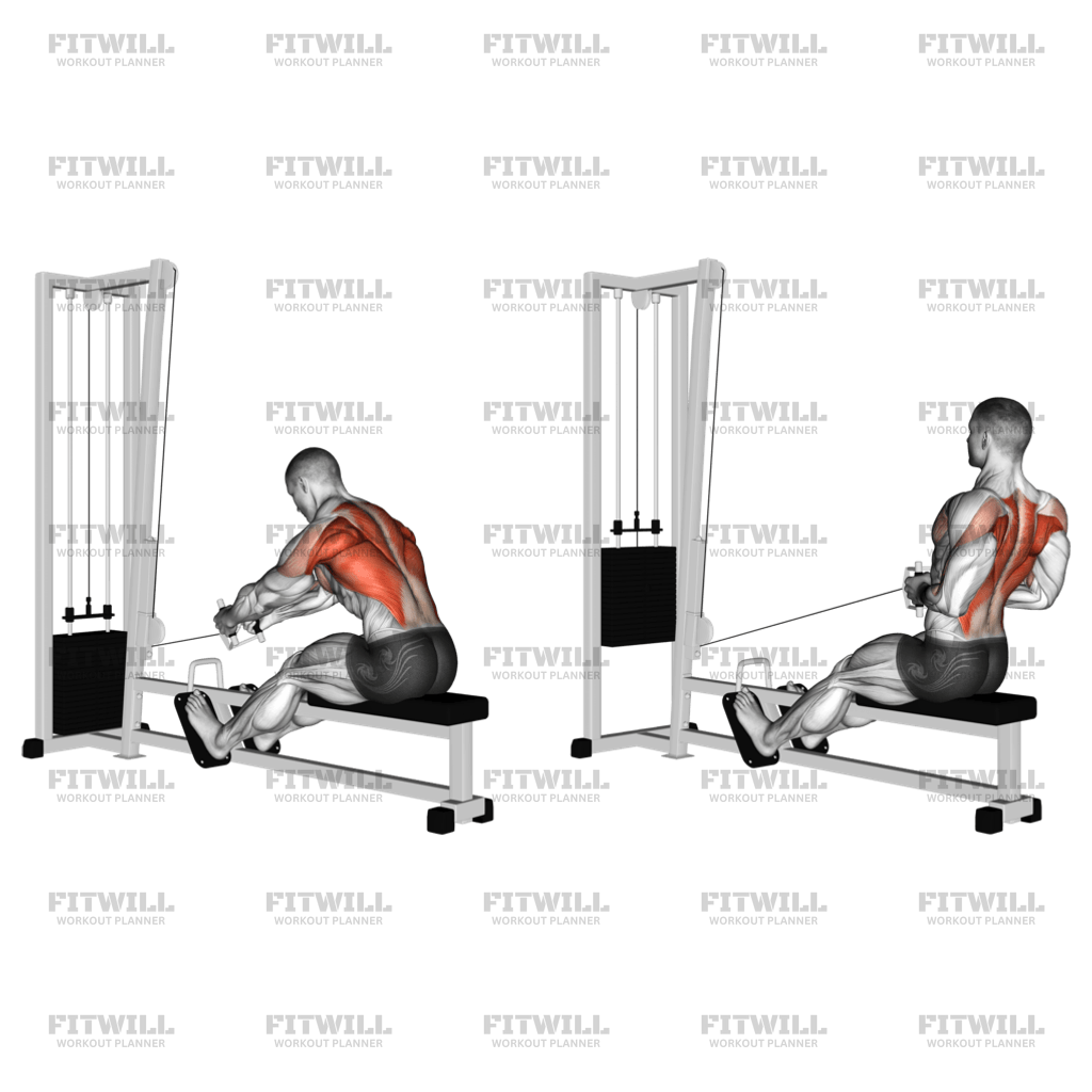 Cable Seated Row: Exercise Guide, Video, Techniques, Benefits, How to ...