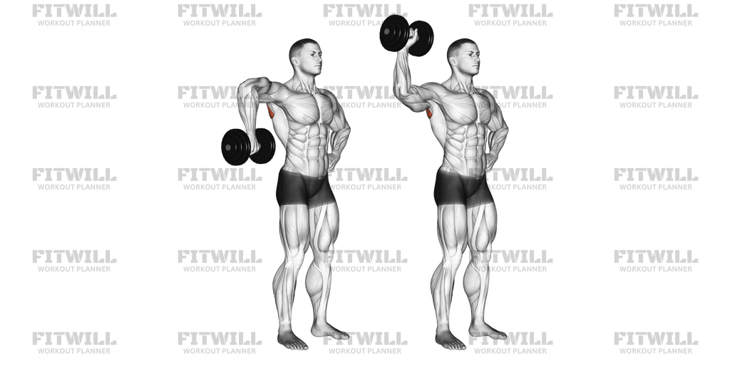 Dumbbell Upright Shoulder External Rotation: Exercise Guide, Video ...