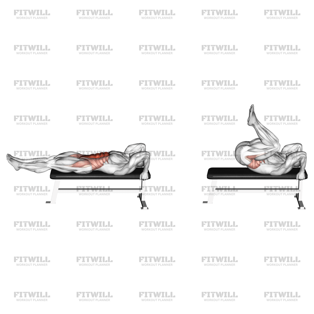 Elevação De Pernas E Quadril Deitado: Guia de Exercícios, Vídeo ...