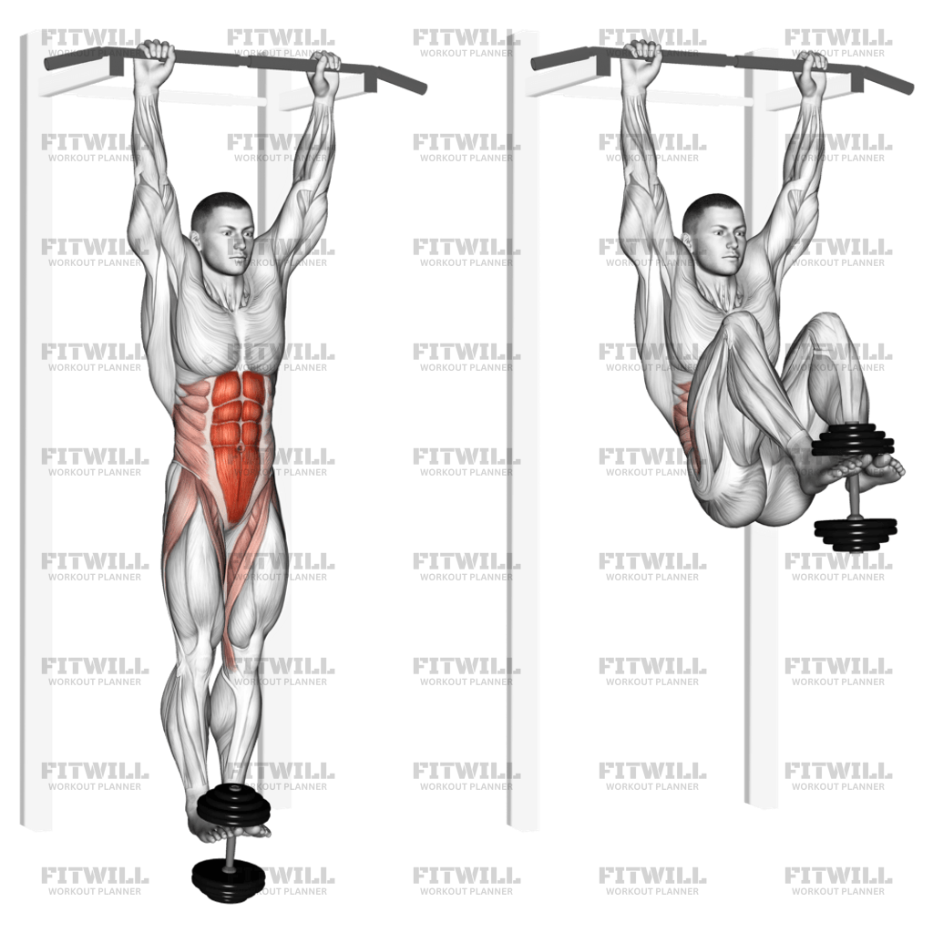 Weighted Hanging leg-hip raise: Guide, Techniques, Benefits, How to ...
