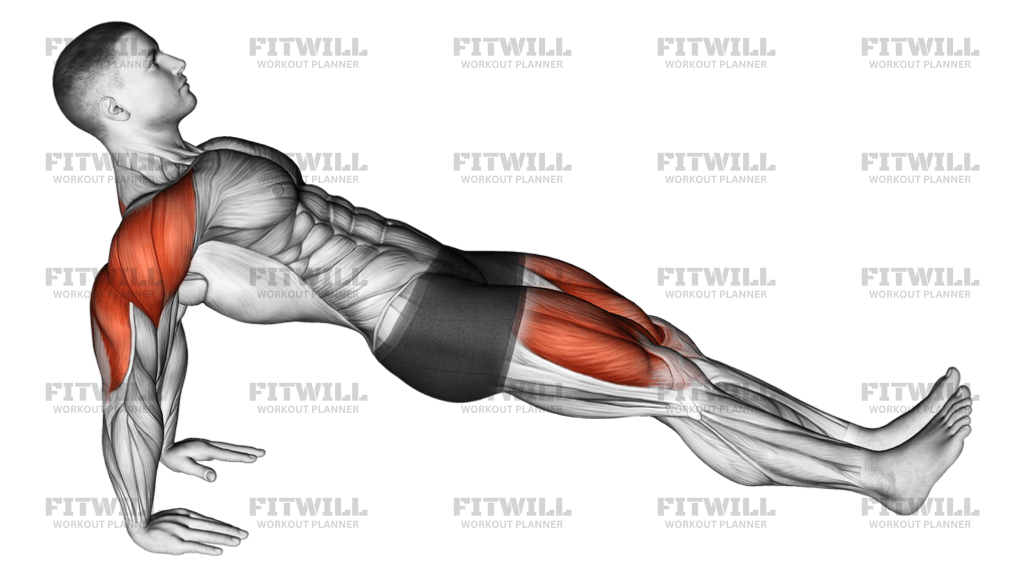 Reverse Plank: Exercise Guide, Video, Techniques, Benefits, How to ...