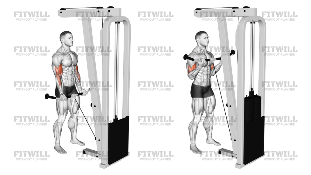 Ultimate Cable Arm Workout: Build Bigger Biceps & Triceps | Workout ...