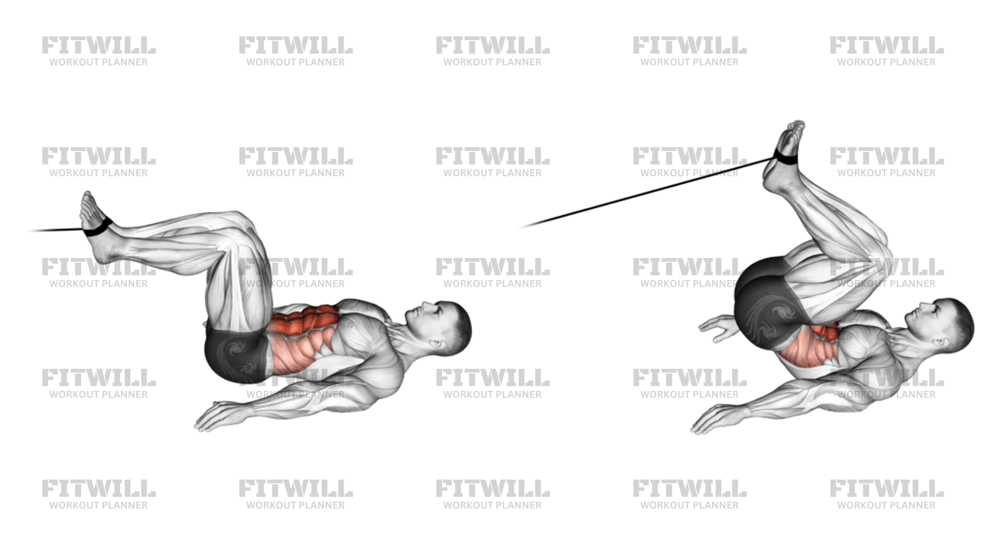 Cable Reverse Crunch: Exercise Guide, Techniques, Benefits, How to ...
