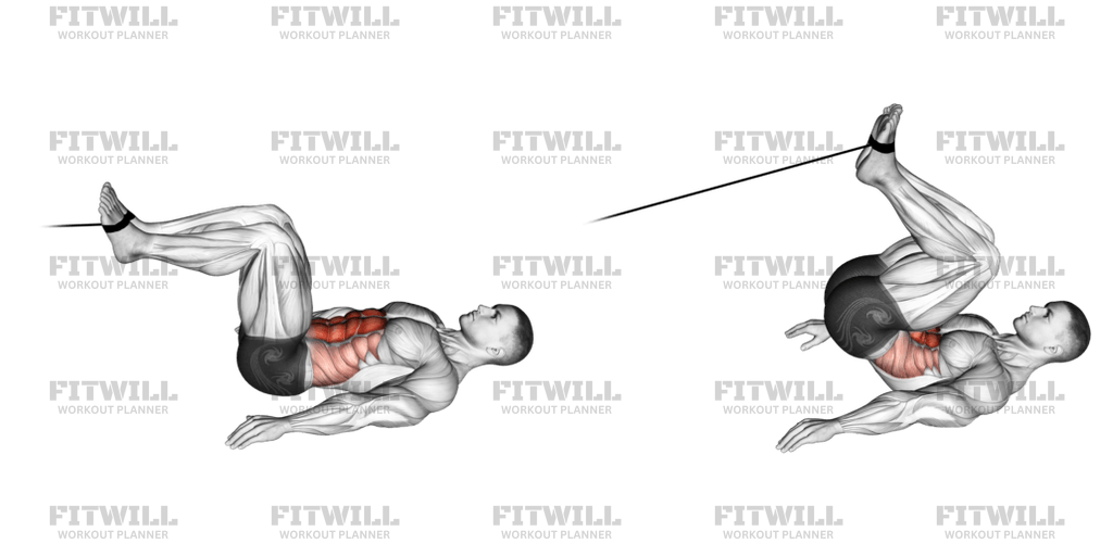 Cable Reverse Crunch: Exercise Guide, Techniques, Benefits, How to ...