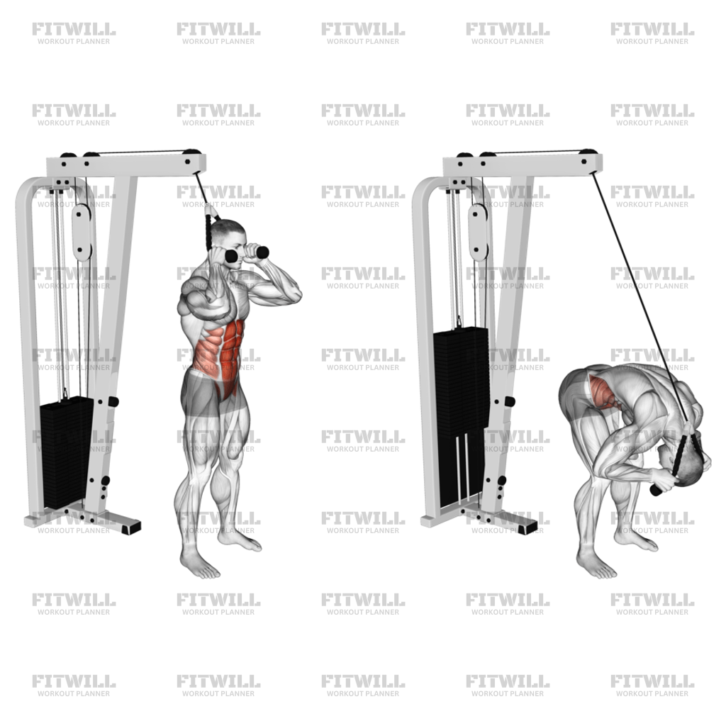 Cable Rope Standing Crunch: Exercise Guide, Video, Techniques, Benefits ...