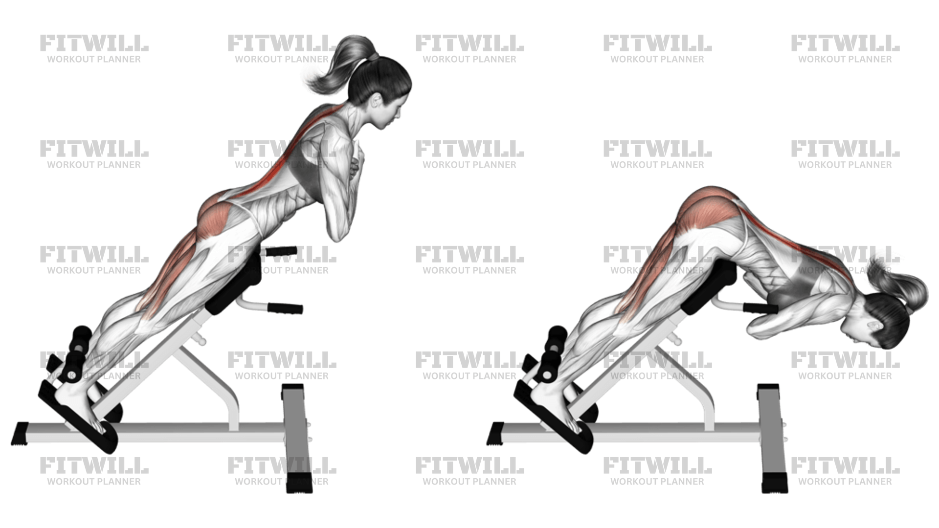 Iperestensioni A 45 Gradi Sulla Panca Romana (braccia Incrociate Sul ...
