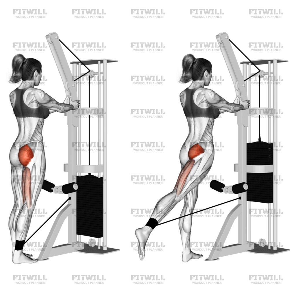 Cable Standing Hip Extension (version 2): Exercise Guide, Video, Techniques, Benefits, How to ...